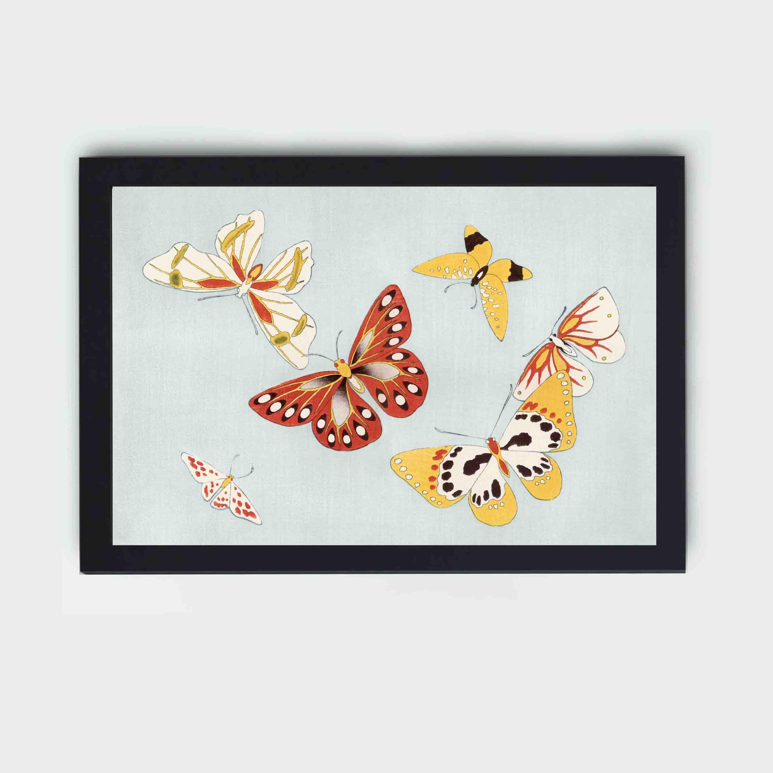 Infidu Japanese butterfly art by Kamisaka Sekka's Cho senshu in high ...