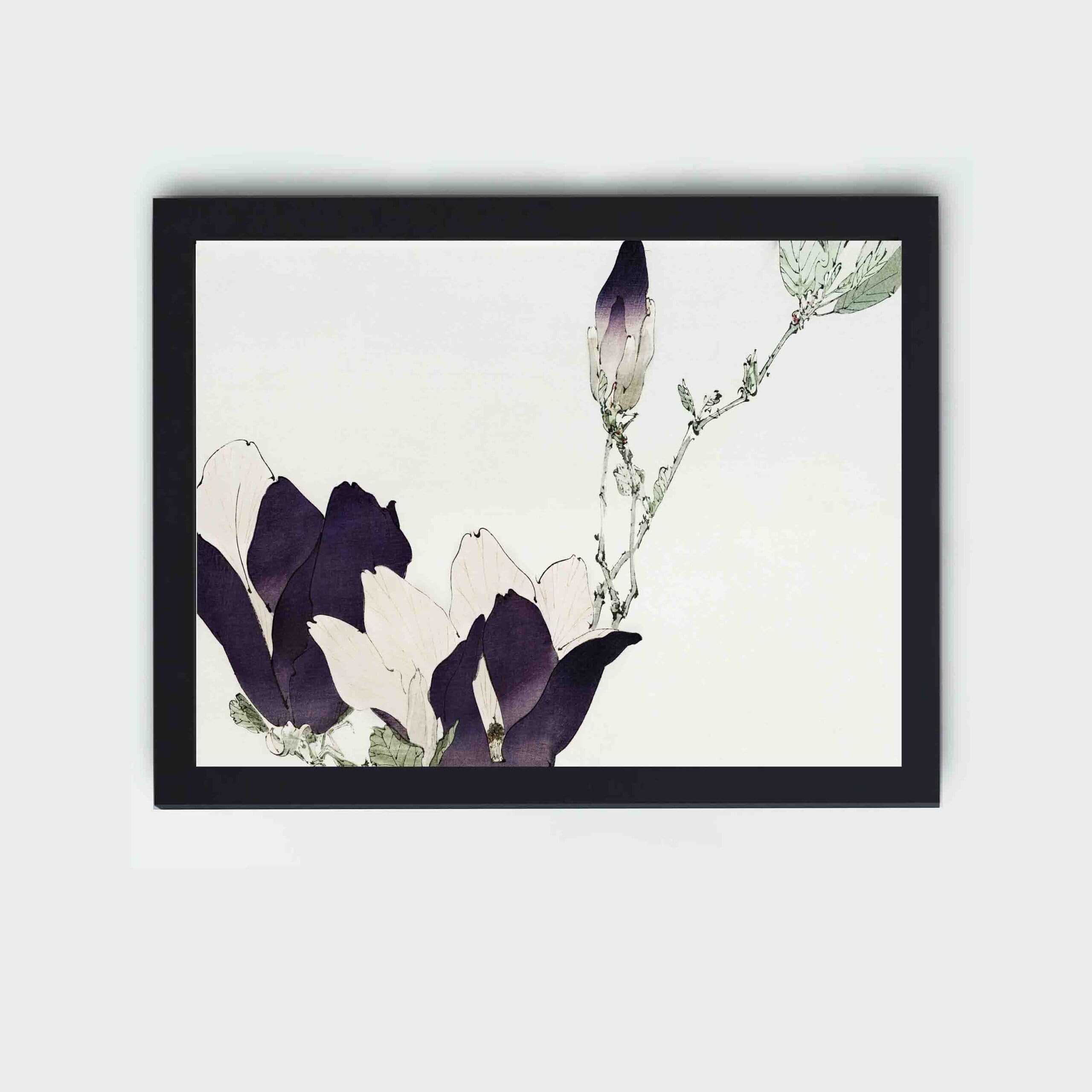 Infidu Purple magnolia illustration from Bijutsu Sekai (1893-1896) by ...